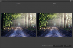 Introducing Files Inspector – Manual Space Freeing and Lossless Images ...